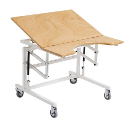 OCCUPATIONAL THERAPY